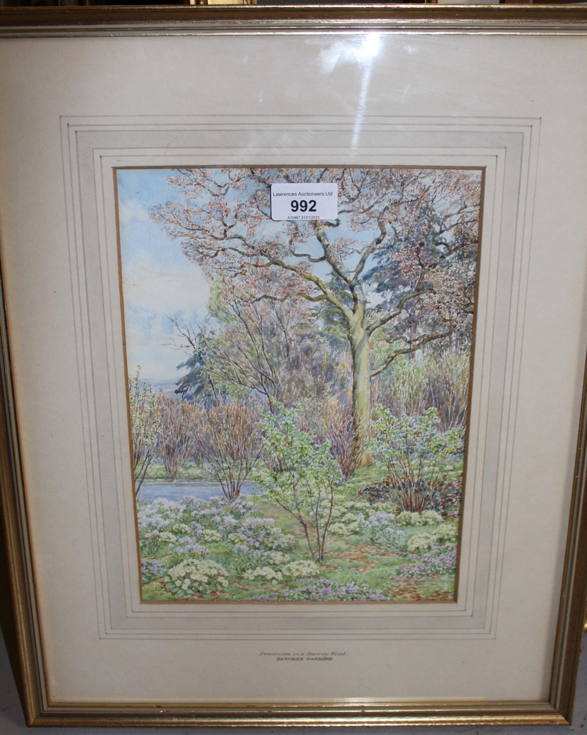 Beatrice Parsons | watercolour ' Primroses in a Surrey Wood ' | MutualArt