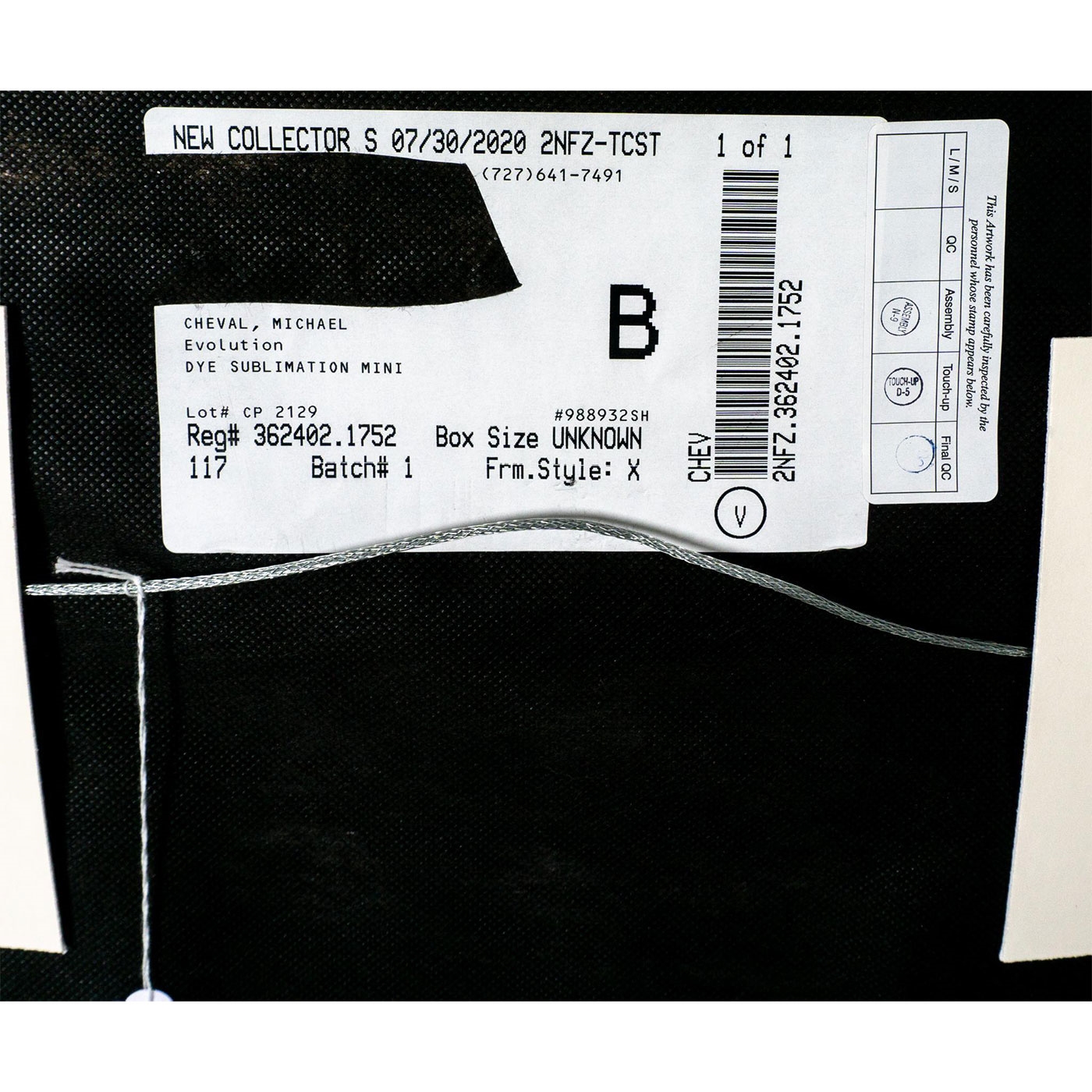 Michael Cheval | Evolution | MutualArt