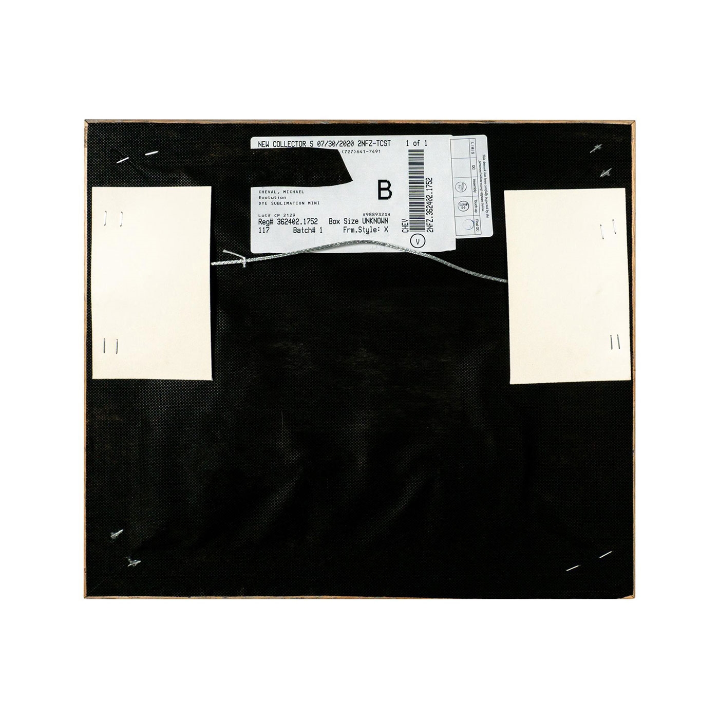 Michael Cheval | Evolution | MutualArt