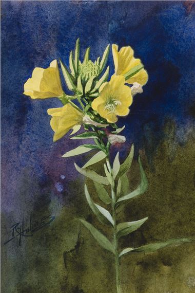 Robert H. Holmes | Evening Primrose | MutualArt