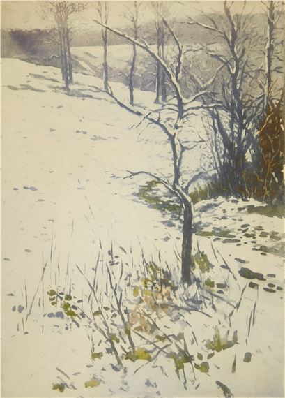 Manuel Robbe | Snowfall | MutualArt