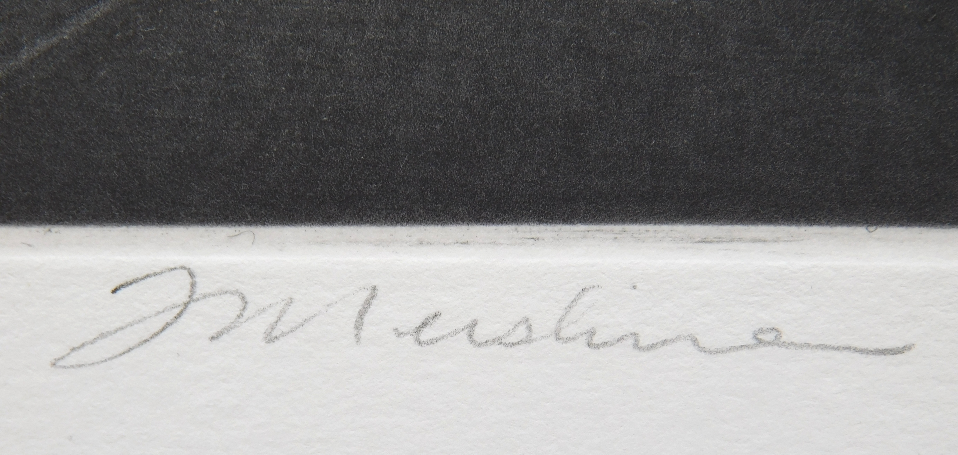 Frederick Mershimer | Pinnacle (2018) | MutualArt