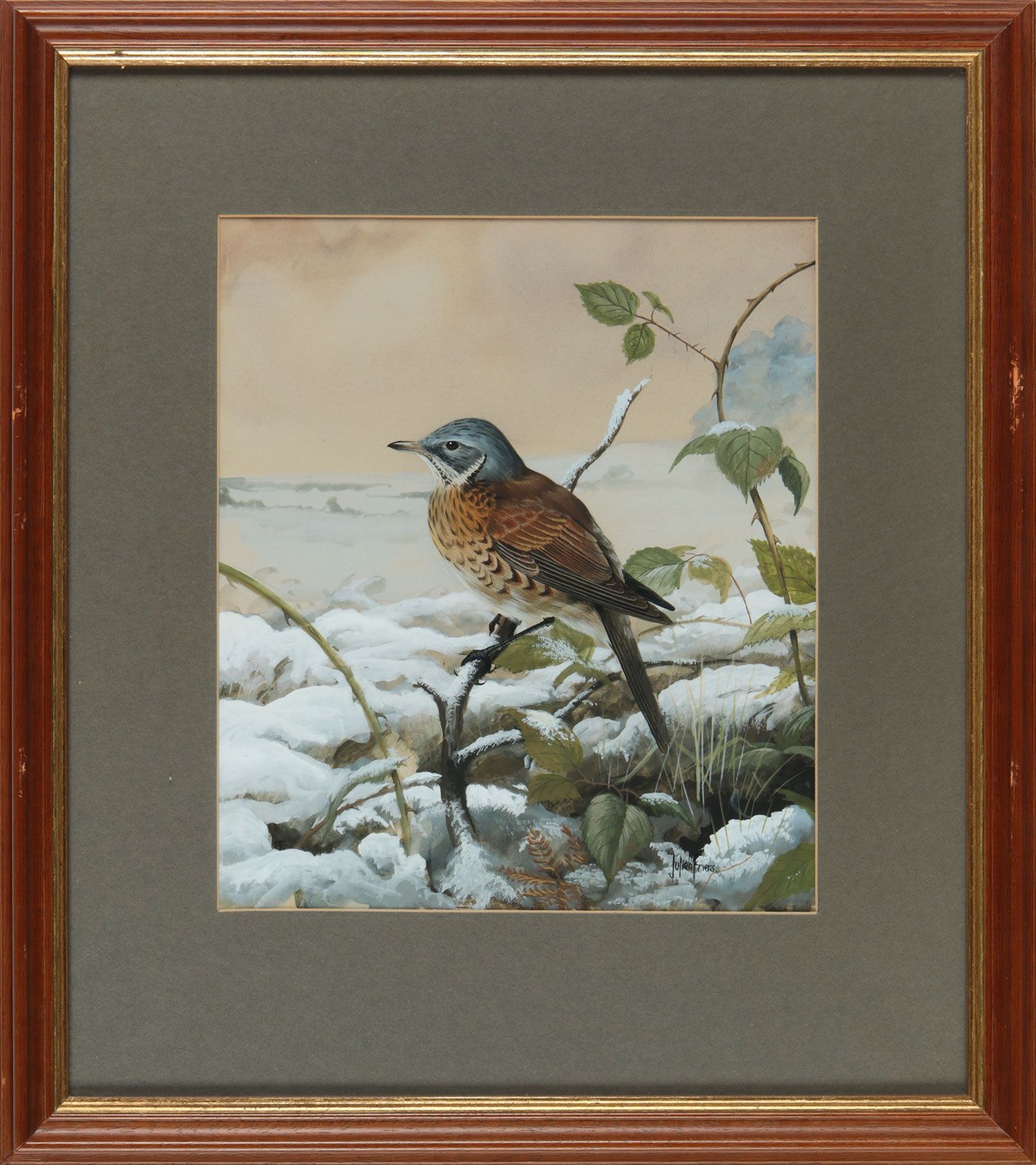Julian Friers | STUDY OF A FIELDFARE (1980) | MutualArt