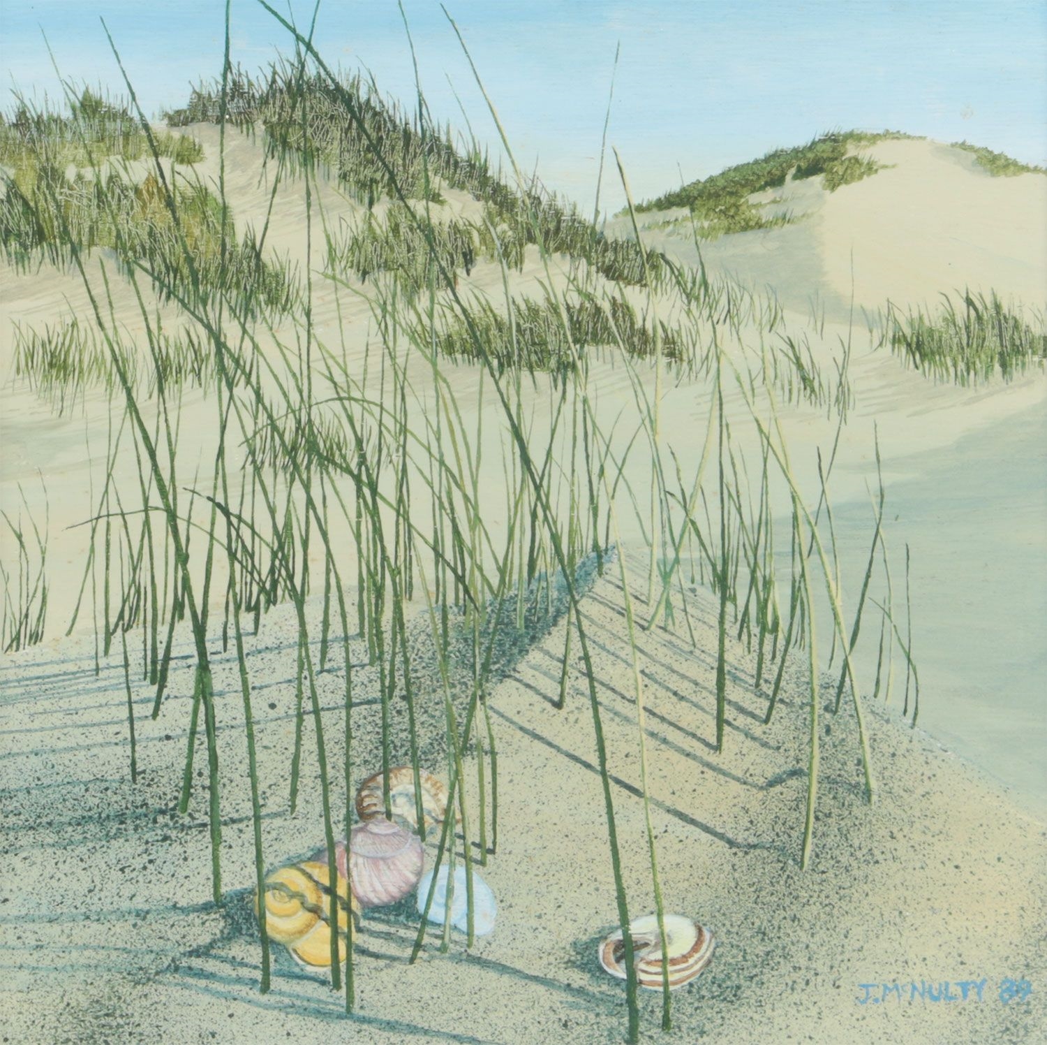 James Mcnulty | SAND DUNES AND SEA SHELLS | MutualArt