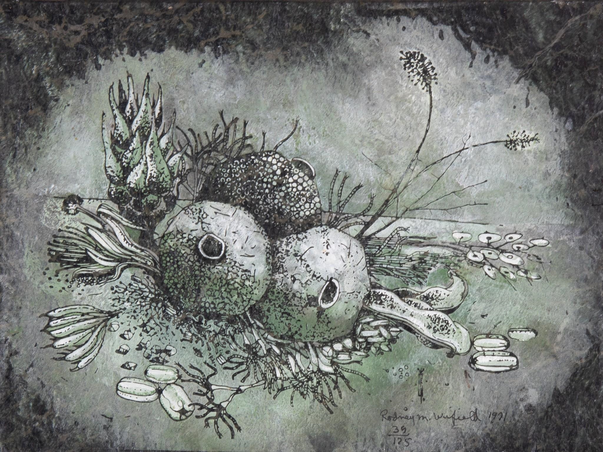 Rodney Winfield | Botanical, 1971 (1971) | MutualArt