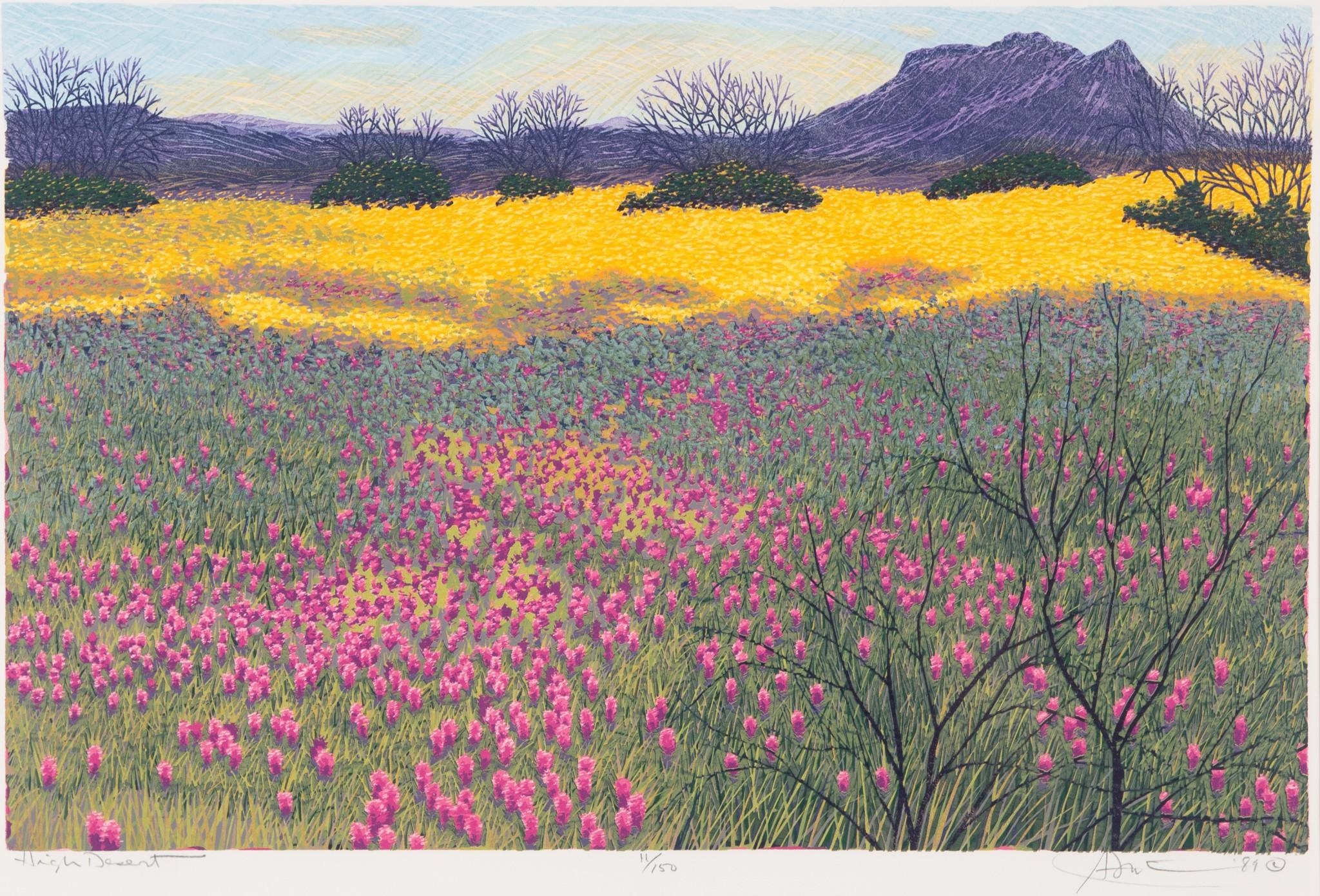 Gordon Mortensen | High Desert, 1989 (1989) | MutualArt