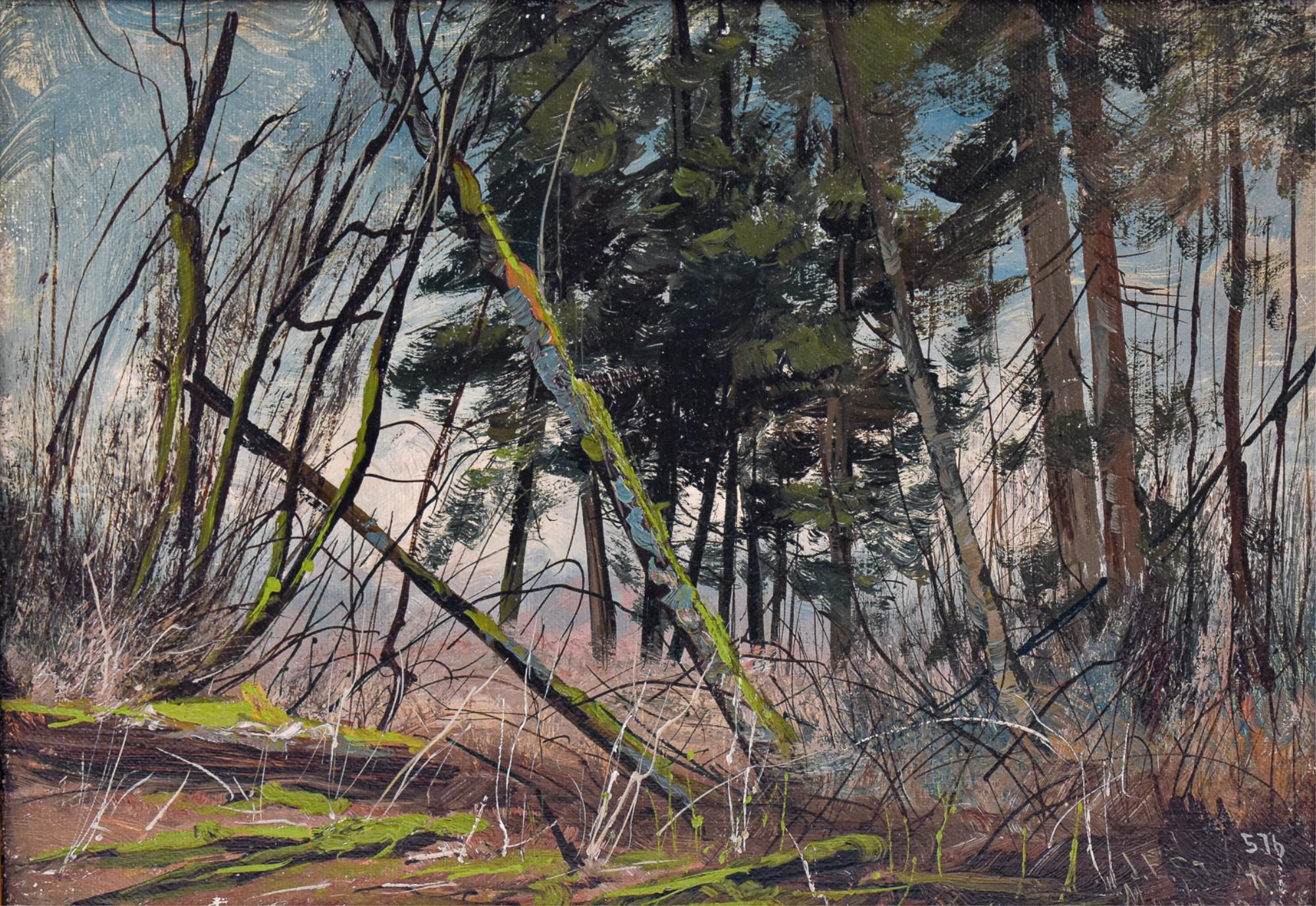 James Everett Stuart | The Swamp, White River Valley, Wash. | MutualArt