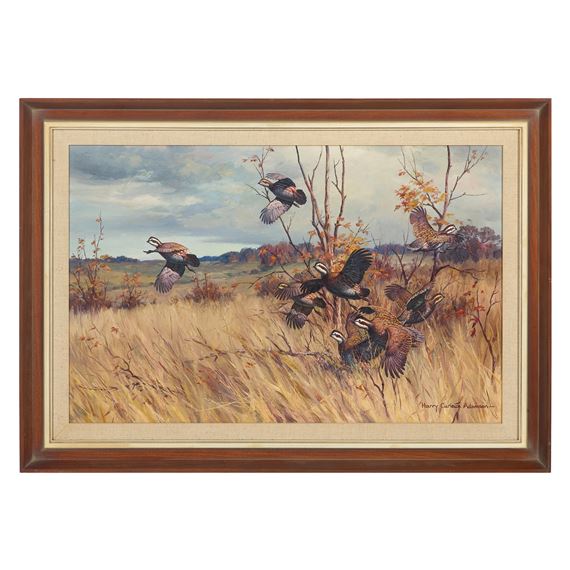 Harry Curieux Adamson | Quail Covey Rising from Grasses | MutualArt