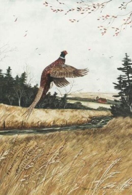 Steven W. Schultz | Painting of Pheasant Signed Steven W. Schultz ...