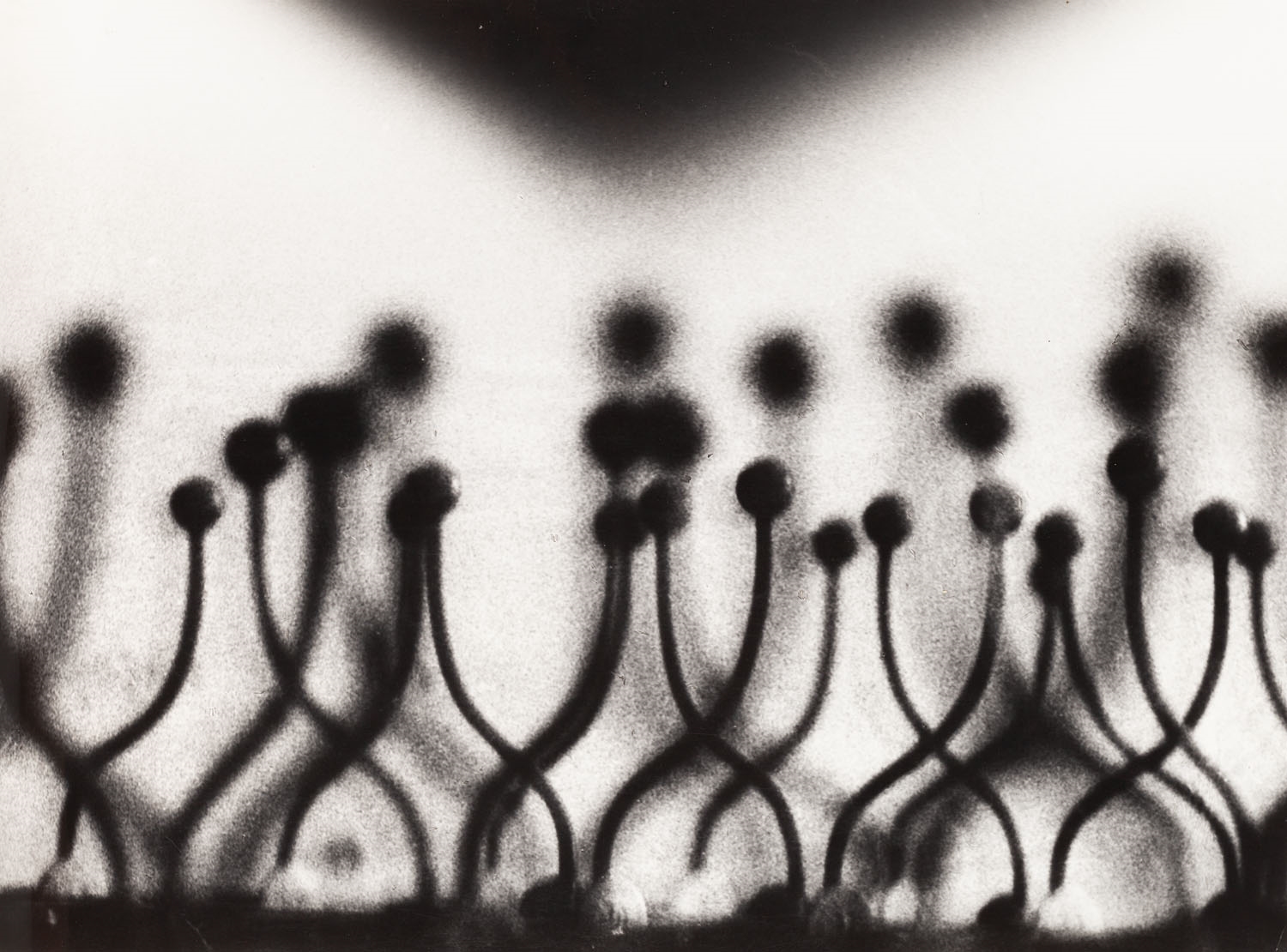 Edward Hartwig | From the (1990s) | MutualArt