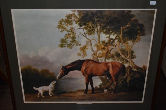 George Stubbs | Bay Horse and White Dog (20th Century) | MutualArt