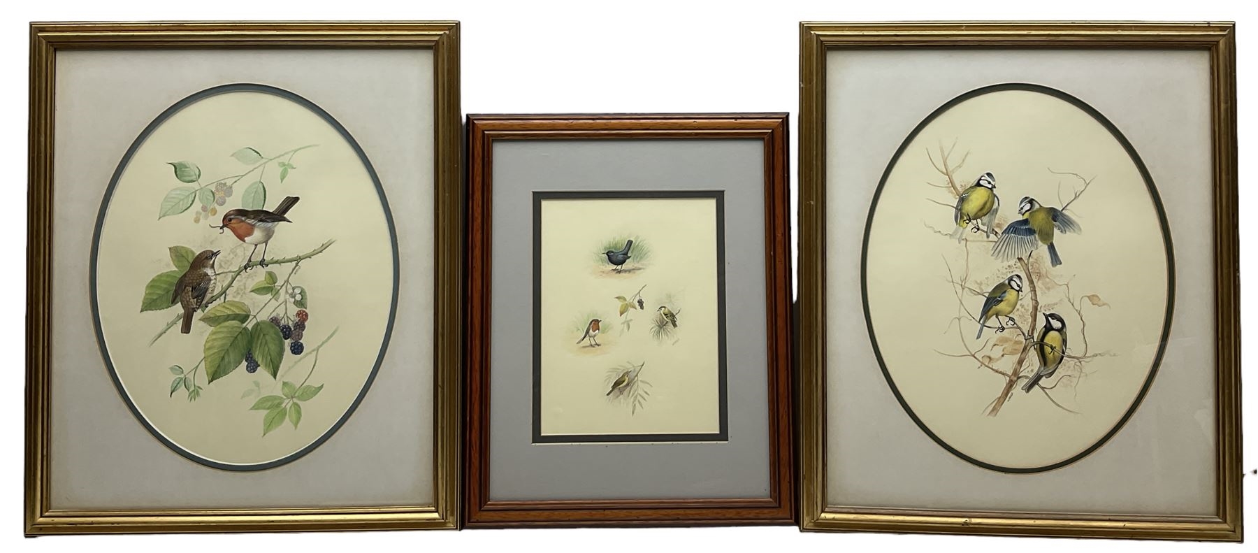 John Reed | Robin and other Bird Studies | MutualArt