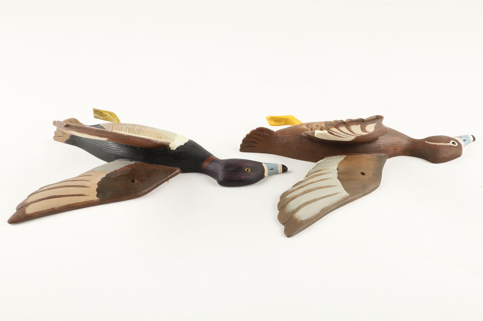 Edward Marle | Pair of Ringneck Ducks | MutualArt