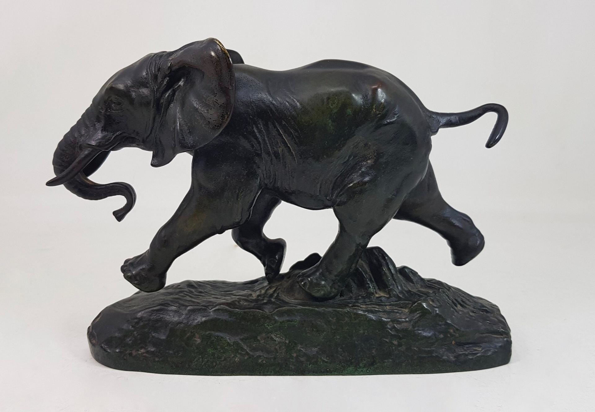 Antoine-Louis Barye | Éléphant du Sénégal | MutualArt