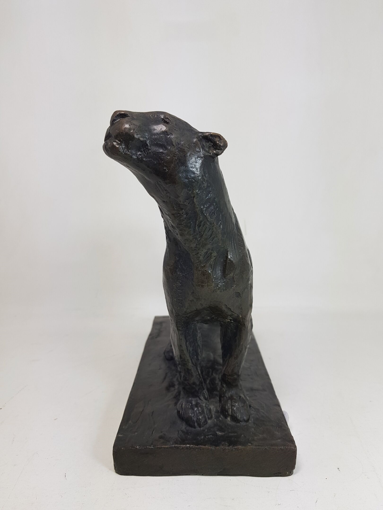 Roger Godchaux | La lionne humant | MutualArt