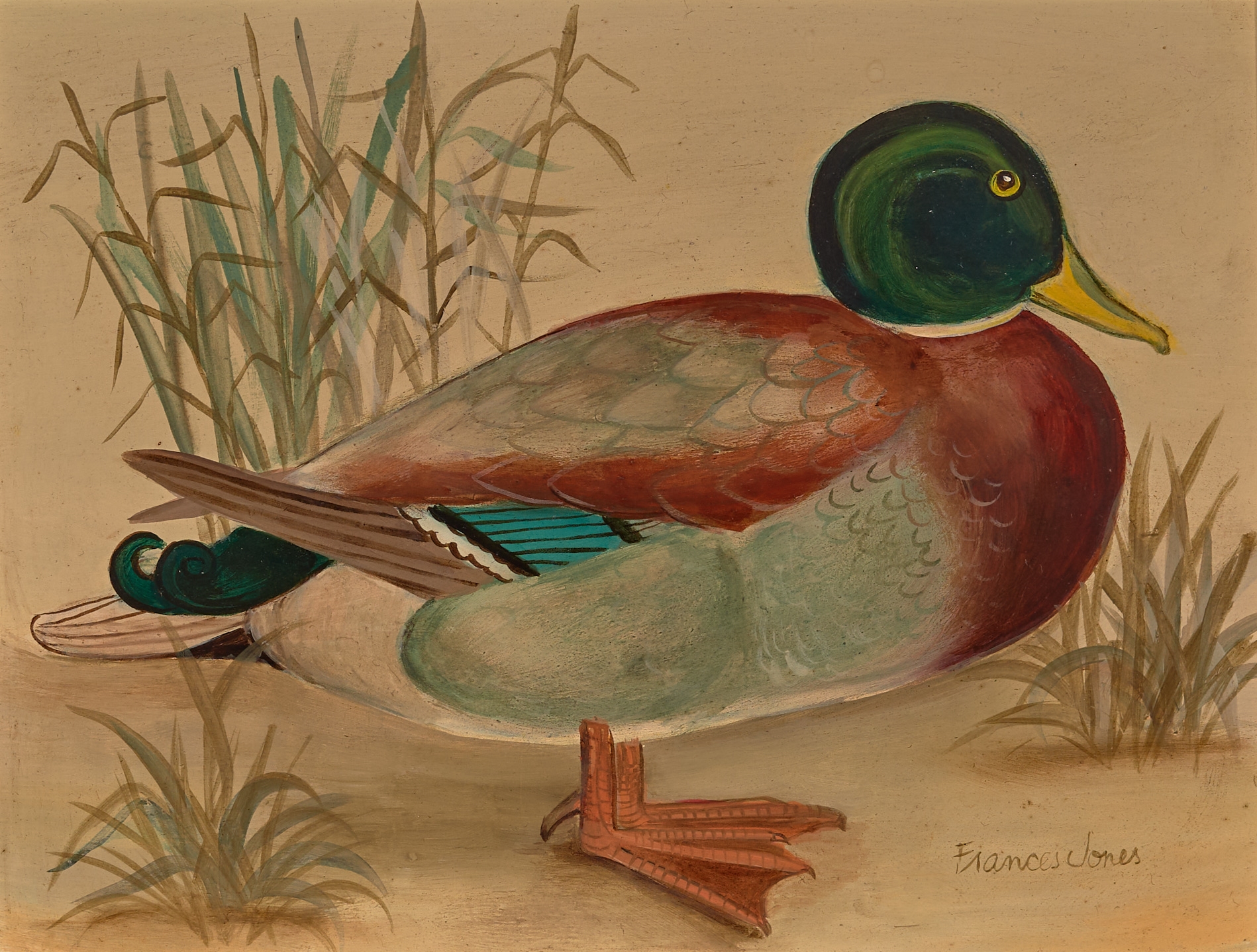 Frances Jones | Mallard Duck | MutualArt
