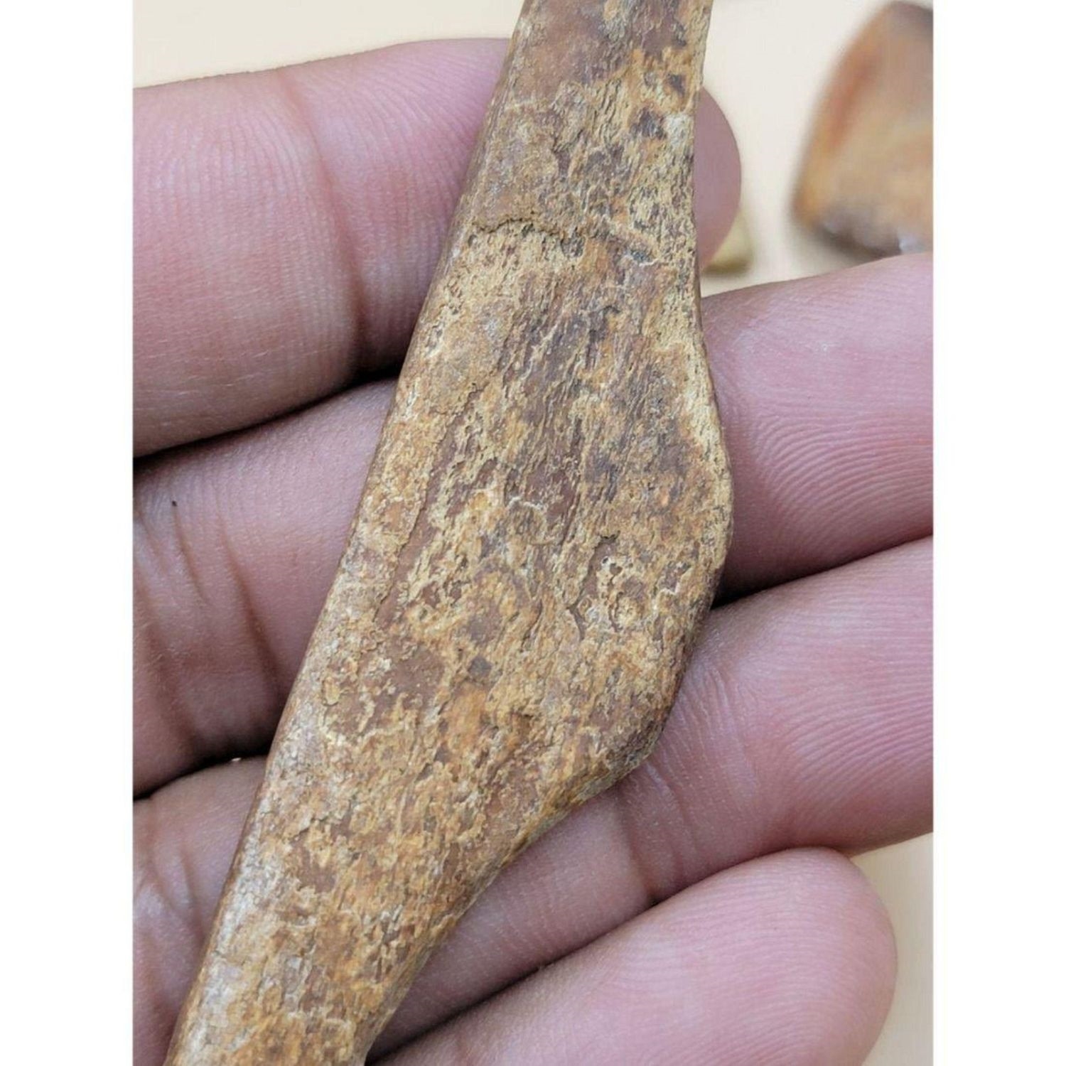 Lifetime | A Grouping Of Eskimo Alaskan / Inuit Implements / Tools ...