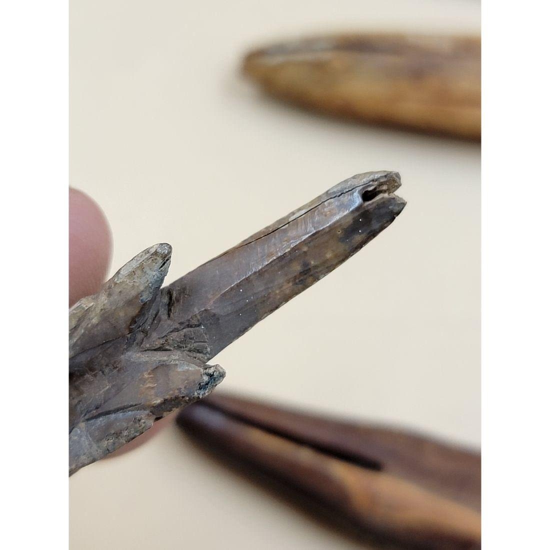 Lifetime | A Grouping Of Eskimo Alaskan / Inuit Implements / Tools ...