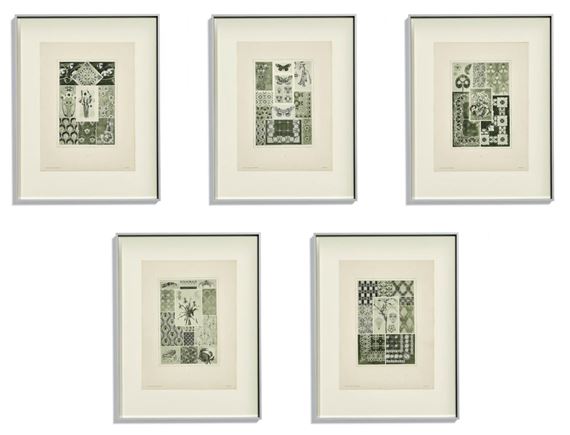 Thomas Wegner | 'Studies and Surface Patterns from the Plant and Animal ...