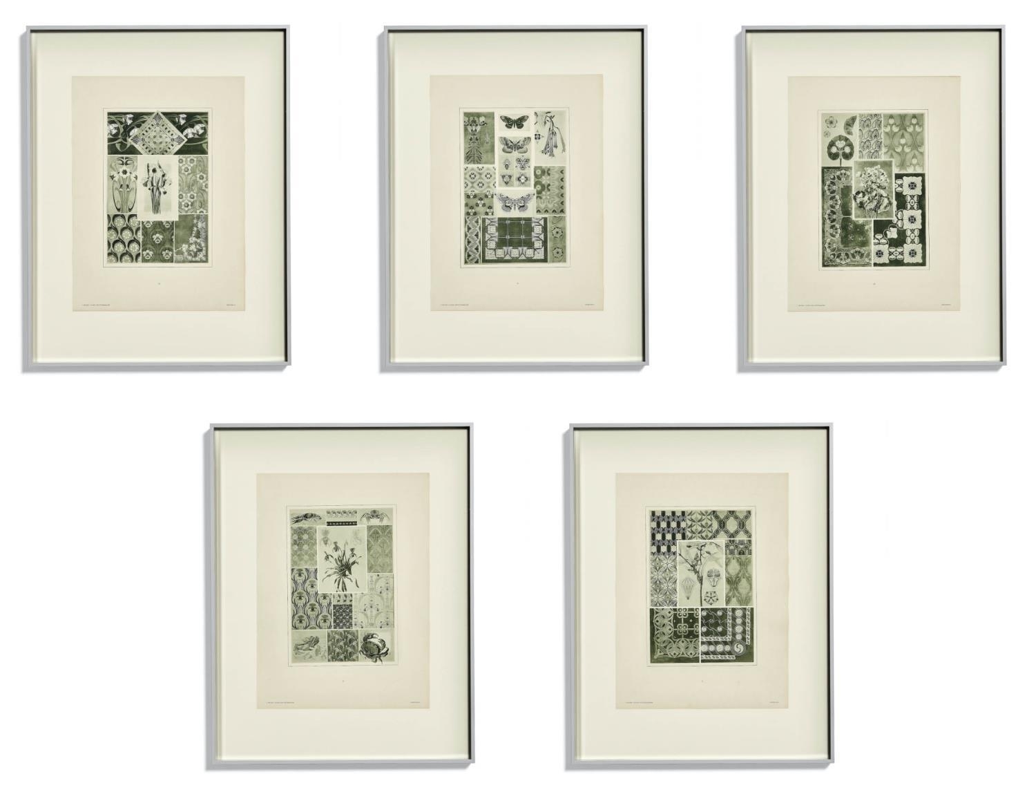 Thomas Wegner | 'Studies and Surface Patterns from the Plant and Animal ...