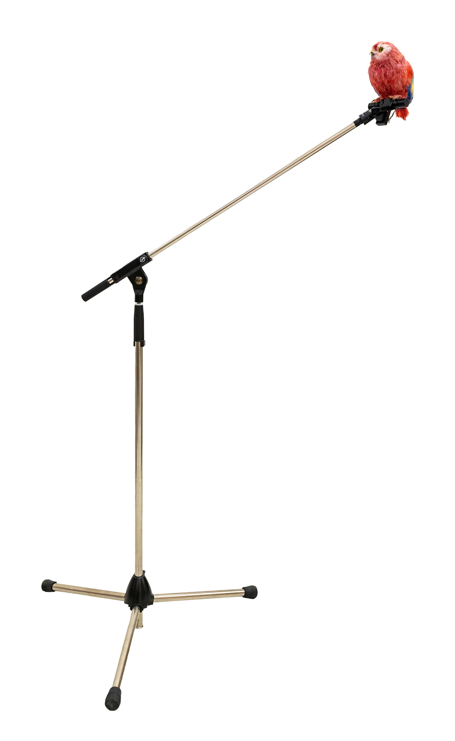 Pietro Roccasalva | Jockey full of Bourbon (2003) | MutualArt