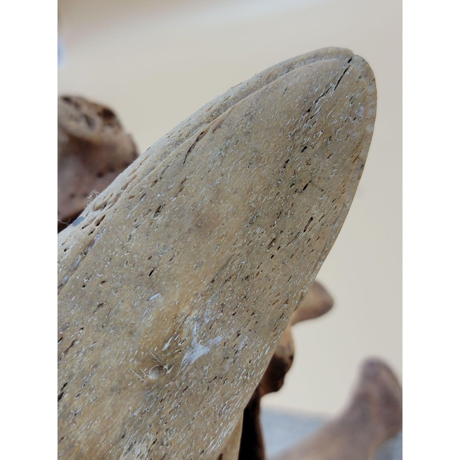 Unknown | Antique Inuit Bone Carving Sculpture | MutualArt