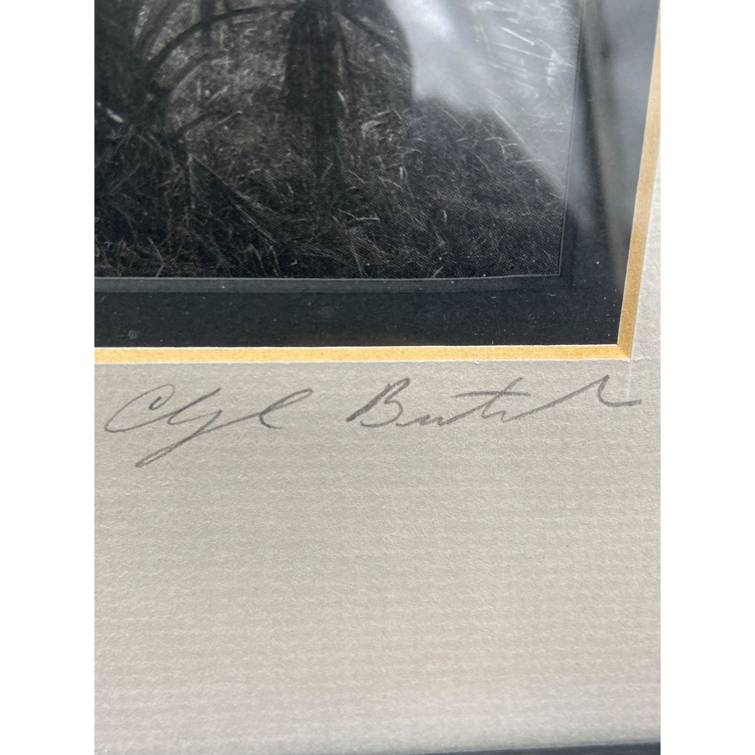 Clyde Butcher | Clyde Butcher (B. 1942) Pencil Signed Photograph Flori ...