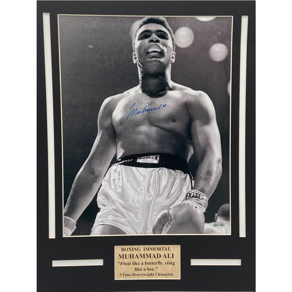Muhammad Ali | Muhammad Ali FLOAT LIKE A BUTTERFLY STING LIKE A BEE ...