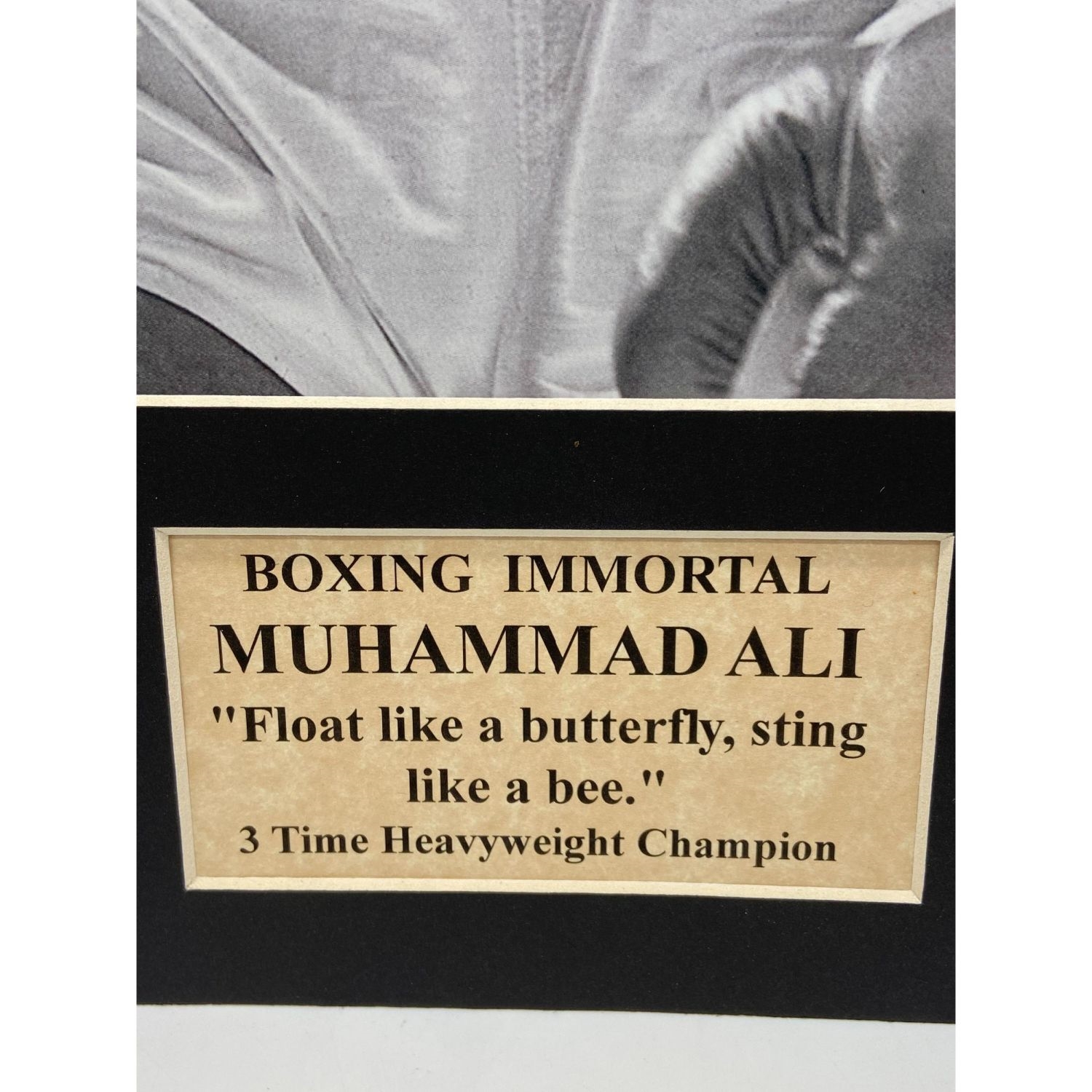 Muhammad Ali | Muhammad Ali FLOAT LIKE A BUTTERFLY STING LIKE A BEE ...