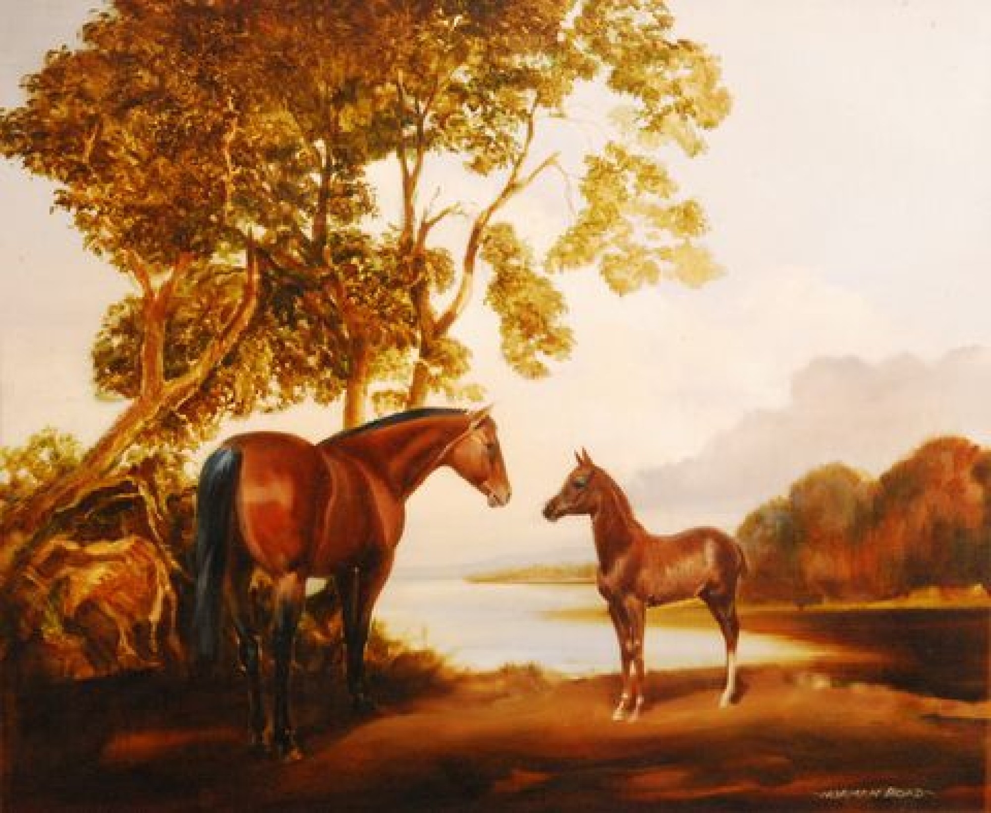 Norman Hoad | NORMAN HOAD - Late 20th Century oil on canvas study of a ...