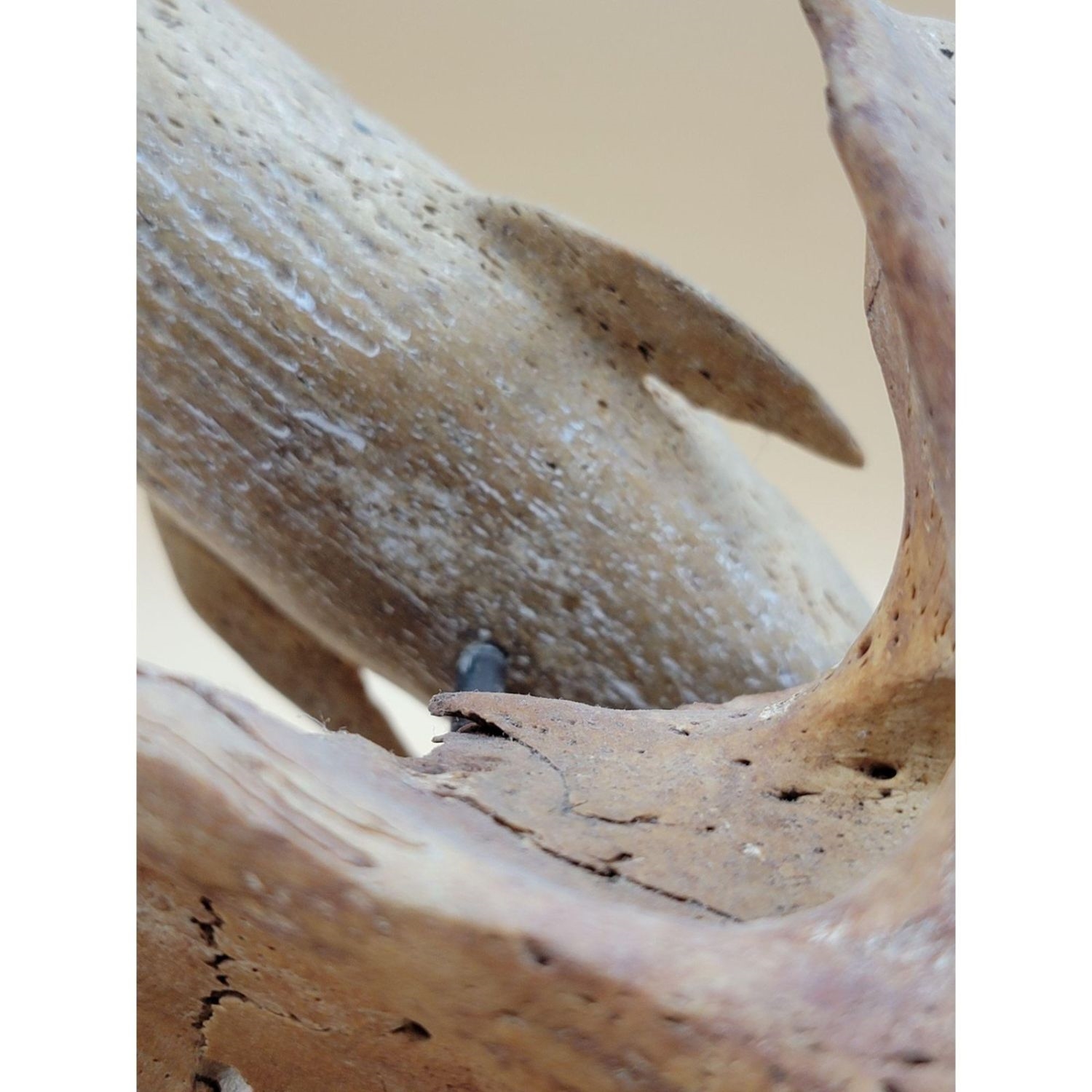 Unknown | Antique Inuit Bone Carving Sculpture | MutualArt