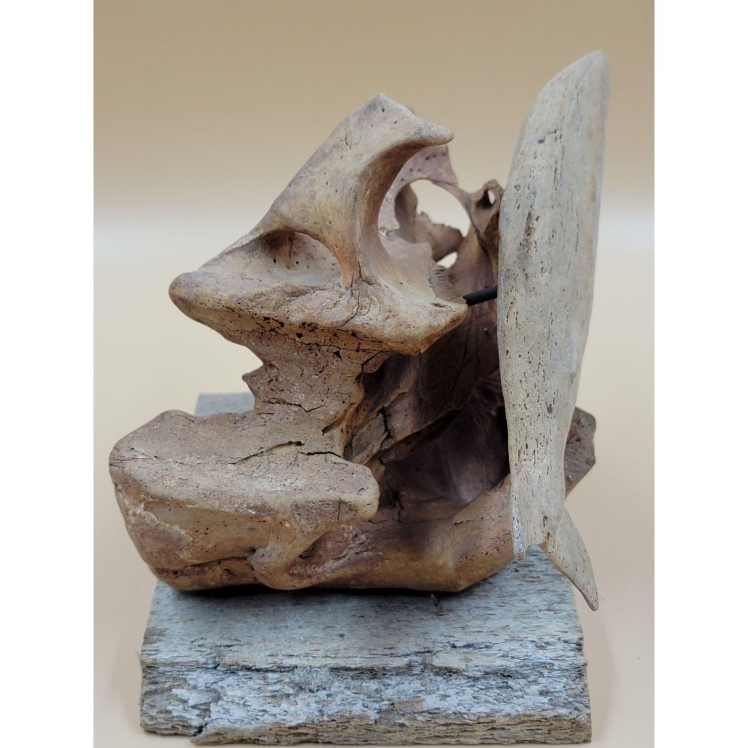Unknown | Antique Inuit Bone Carving Sculpture | MutualArt