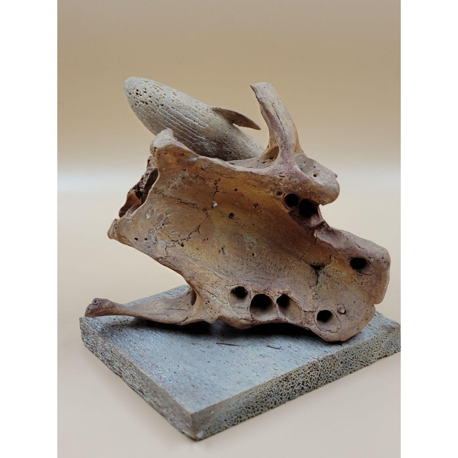 Unknown | Antique Inuit Bone Carving Sculpture | MutualArt