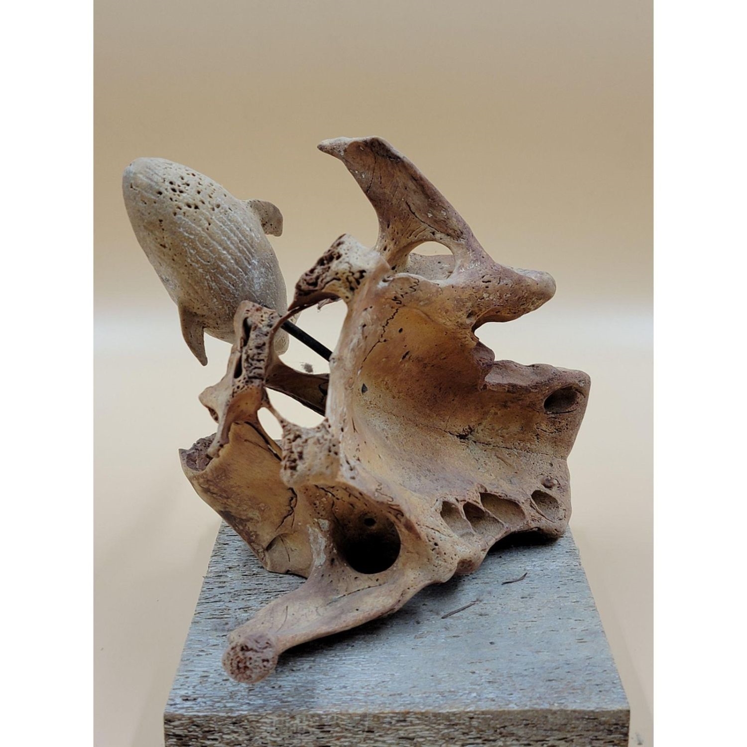 Unknown | Antique Inuit Bone Carving Sculpture | MutualArt