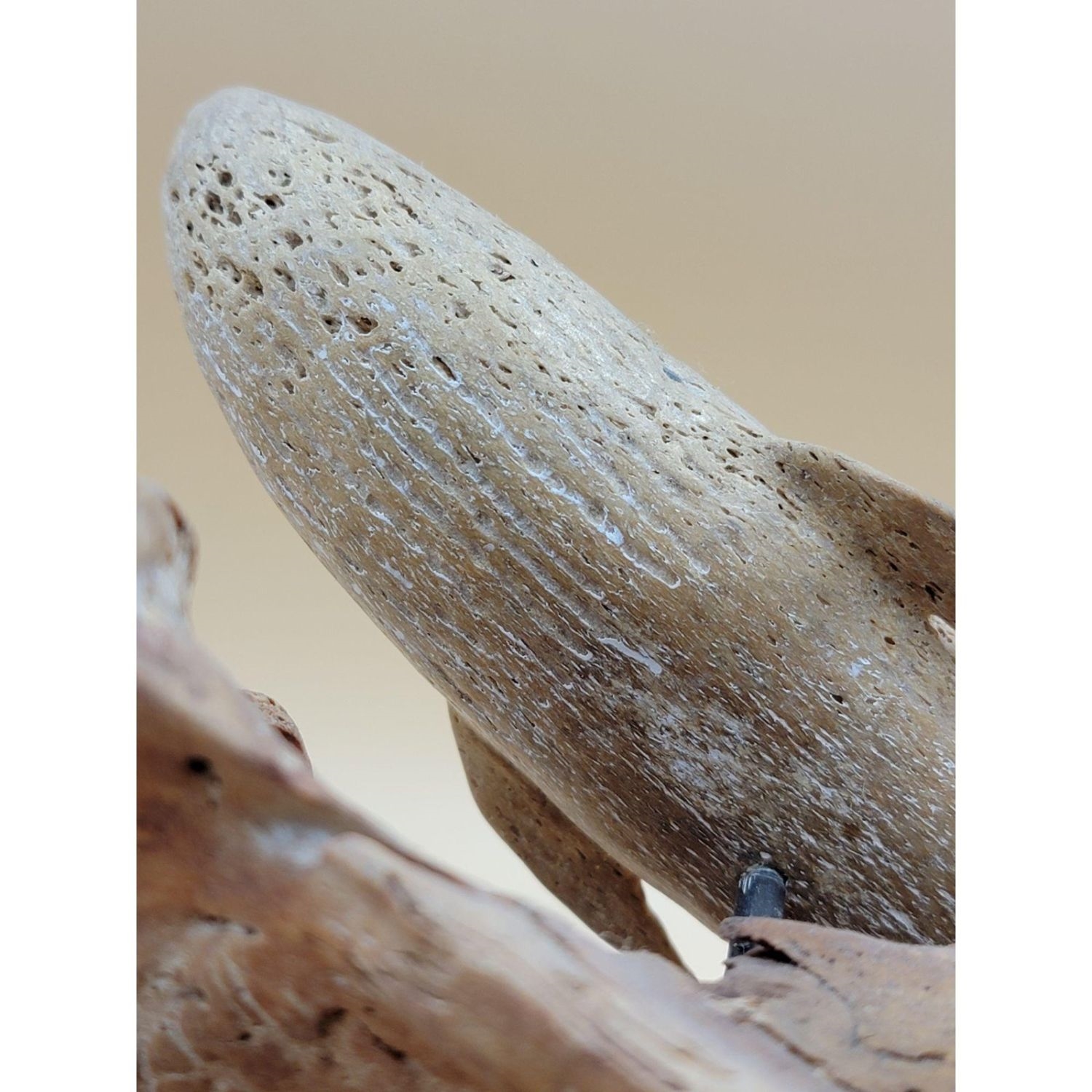 Unknown | Antique Inuit Bone Carving Sculpture | MutualArt