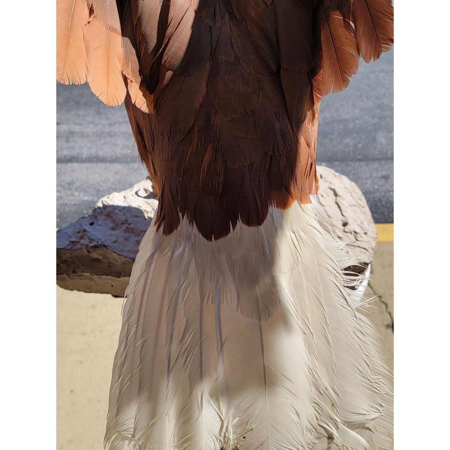 Mike Davis | Mike Davis American Bald Eagle Sculpture Signed | MutualArt