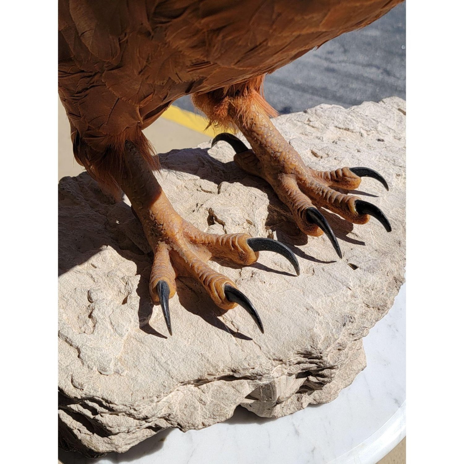 Mike Davis | Mike Davis American Bald Eagle Sculpture Signed | MutualArt