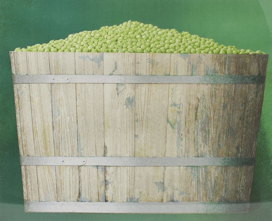 Philip von Schantz | Svenska krusbär. Färglitografi | MutualArt