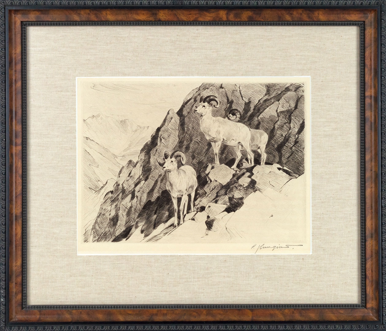 Carl Clemens Moritz Rungius | Carl Rungius (1869-1959) Dall Sheep ...
