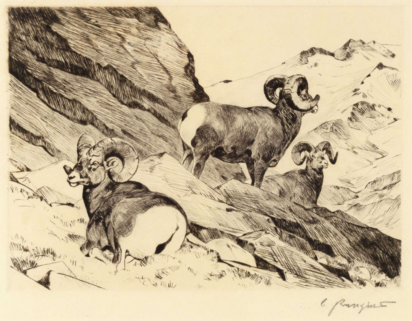 Carl Clemens Moritz Rungius | Carl Rungius (1869-1959) Siesta | MutualArt