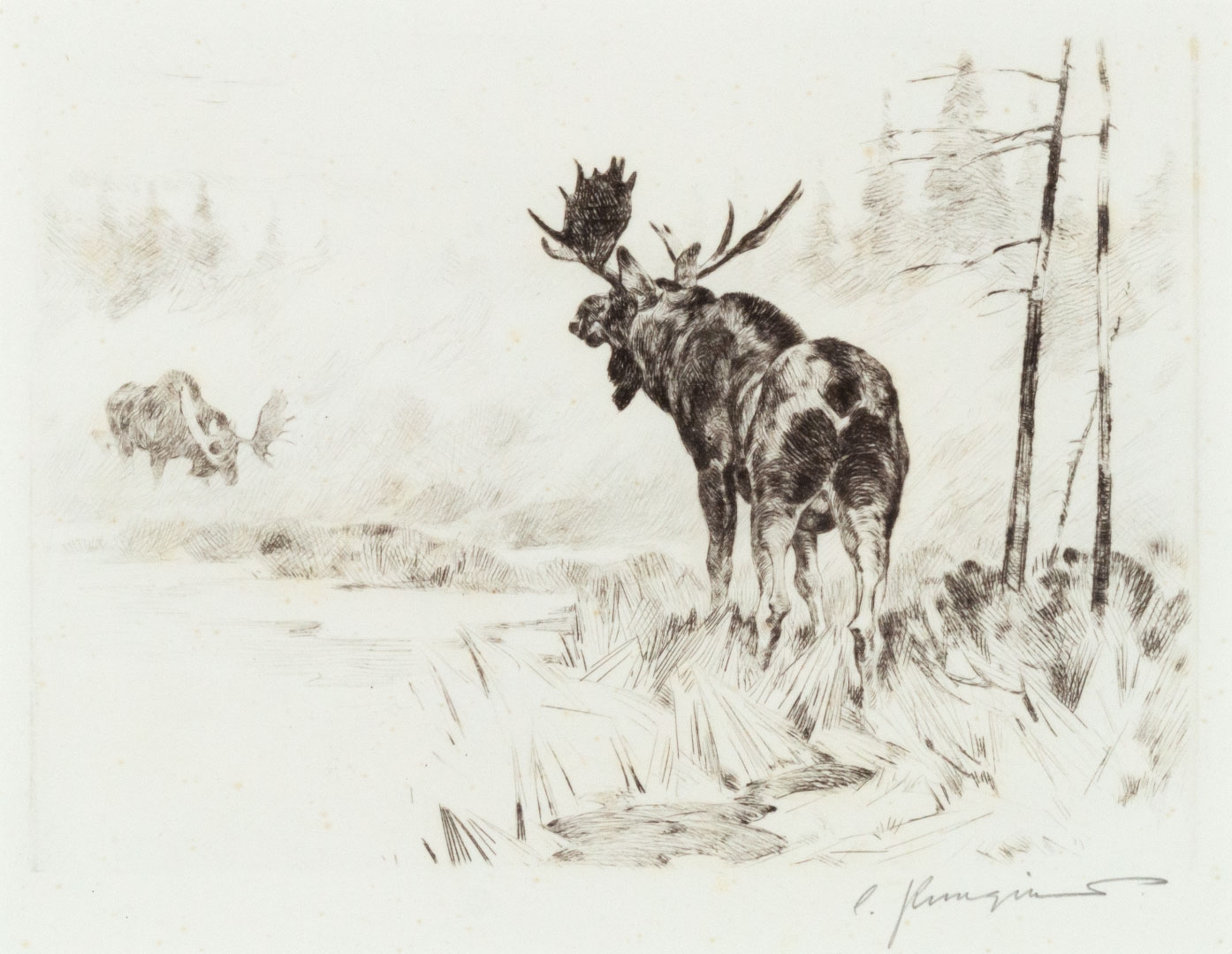 Carl Clemens Moritz Rungius | Carl Rungius (1869-1959) Rivals | MutualArt