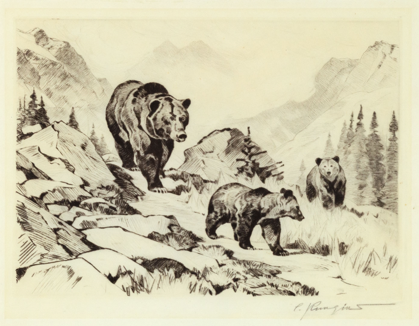 Carl Clemens Moritz Rungius | Carl Rungius (1869-1959) The Family ...