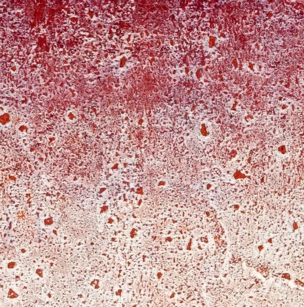 Gabriel Filion | Untitled | MutualArt