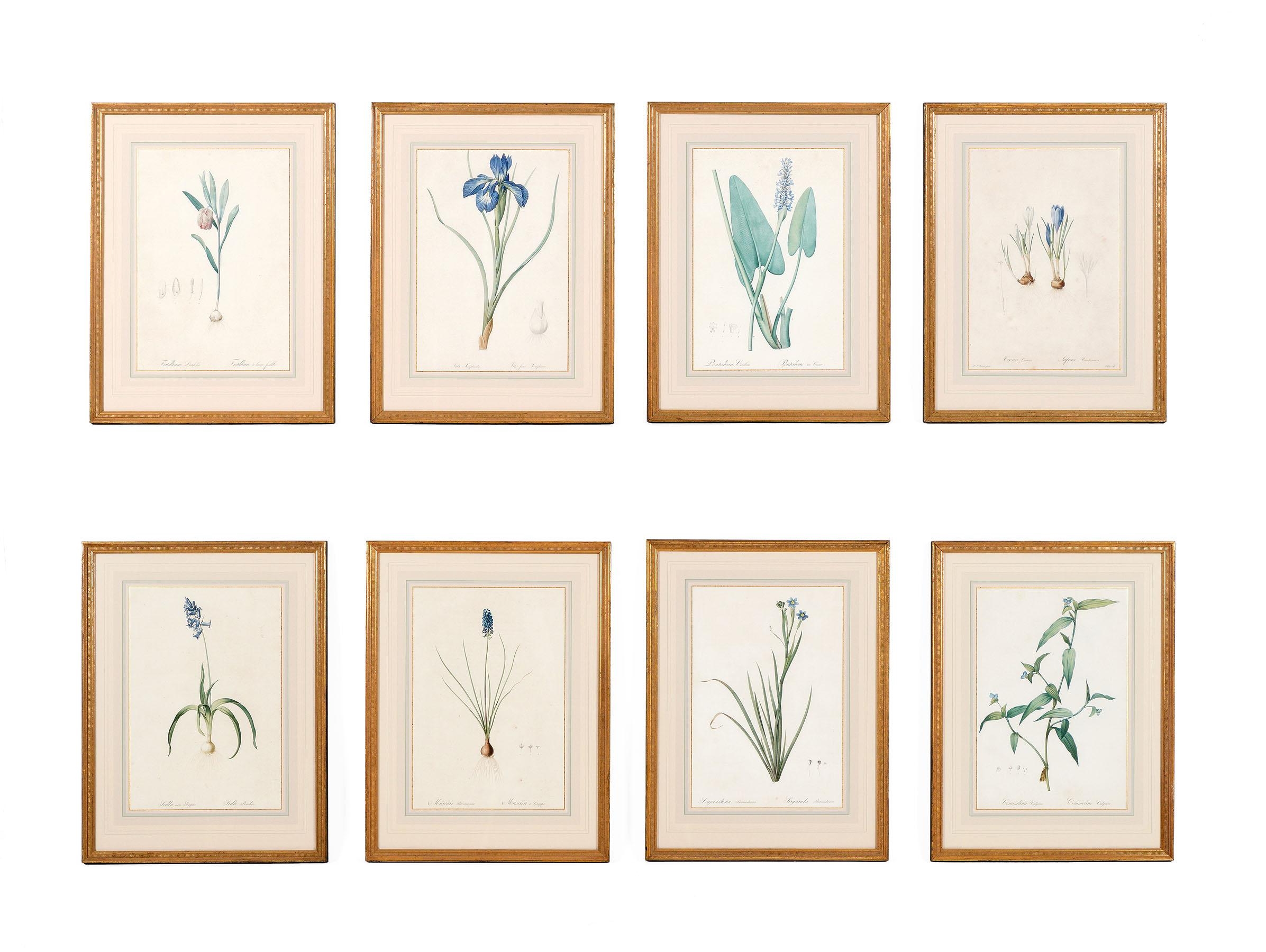 Pierre-Joseph Redoute | Collection of eight botanical prints | MutualArt
