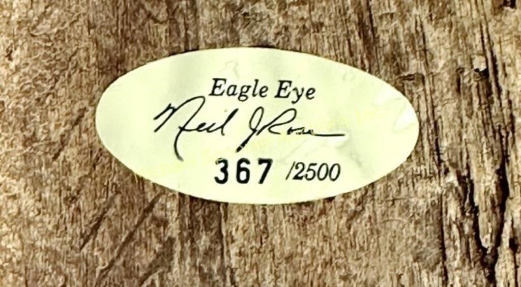 Neil J. Rose | EAGLE EYE | MutualArt