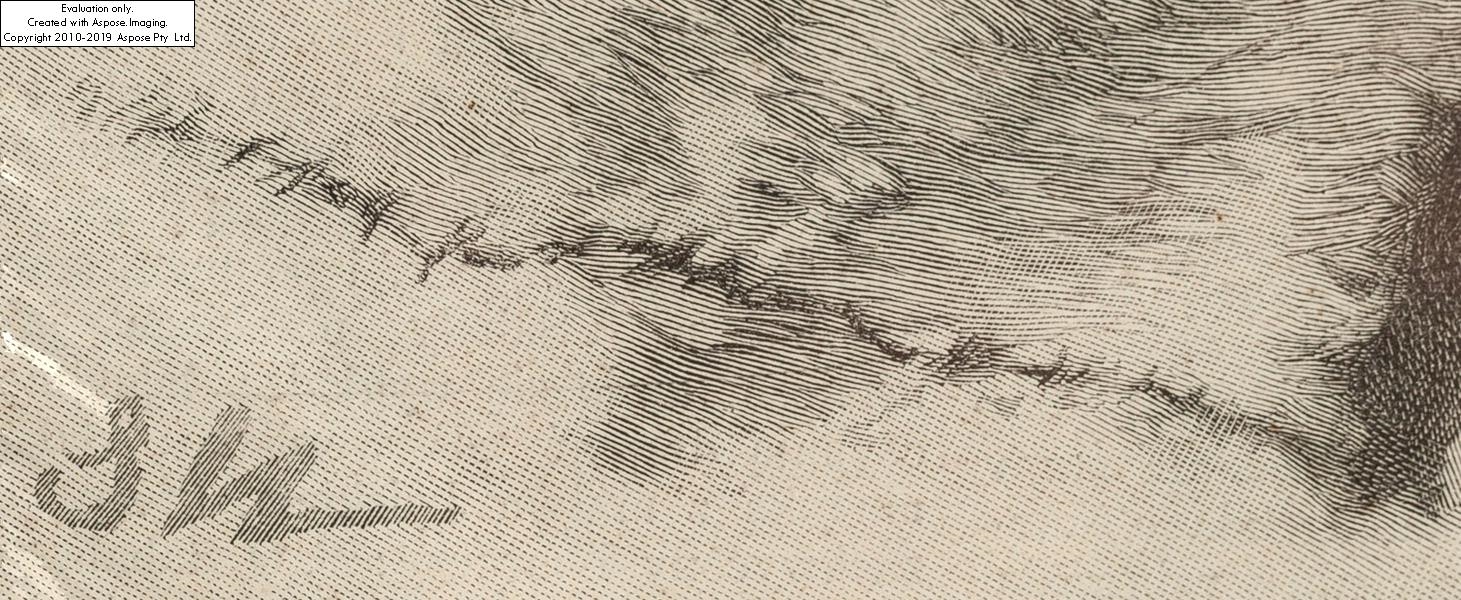 Stanislaw Witkiewicz | Sabala portrait | MutualArt