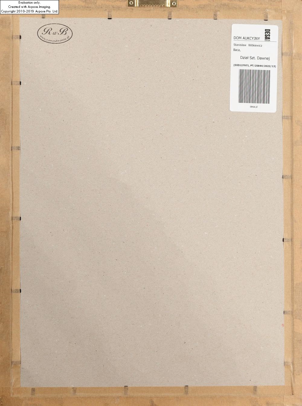 Stanislaw Witkiewicz | Sabala portrait | MutualArt