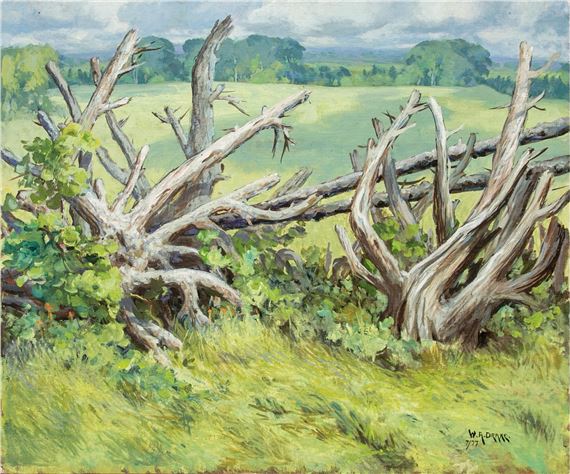 William Alexander Drake | Old Trees In A Field | MutualArt