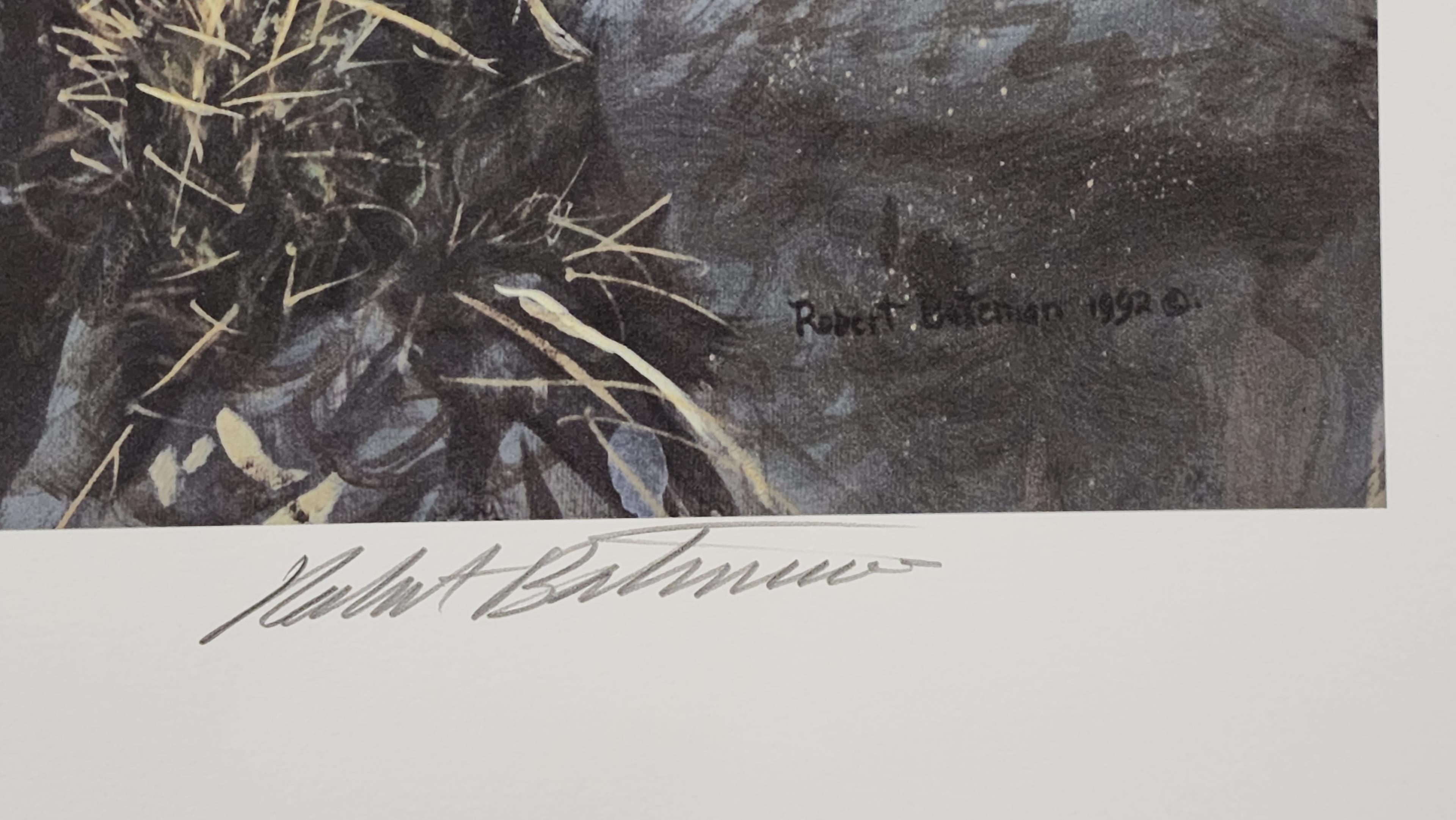 Robert Bateman | Robert Bateman Signed Limited Edition Lithograph ...