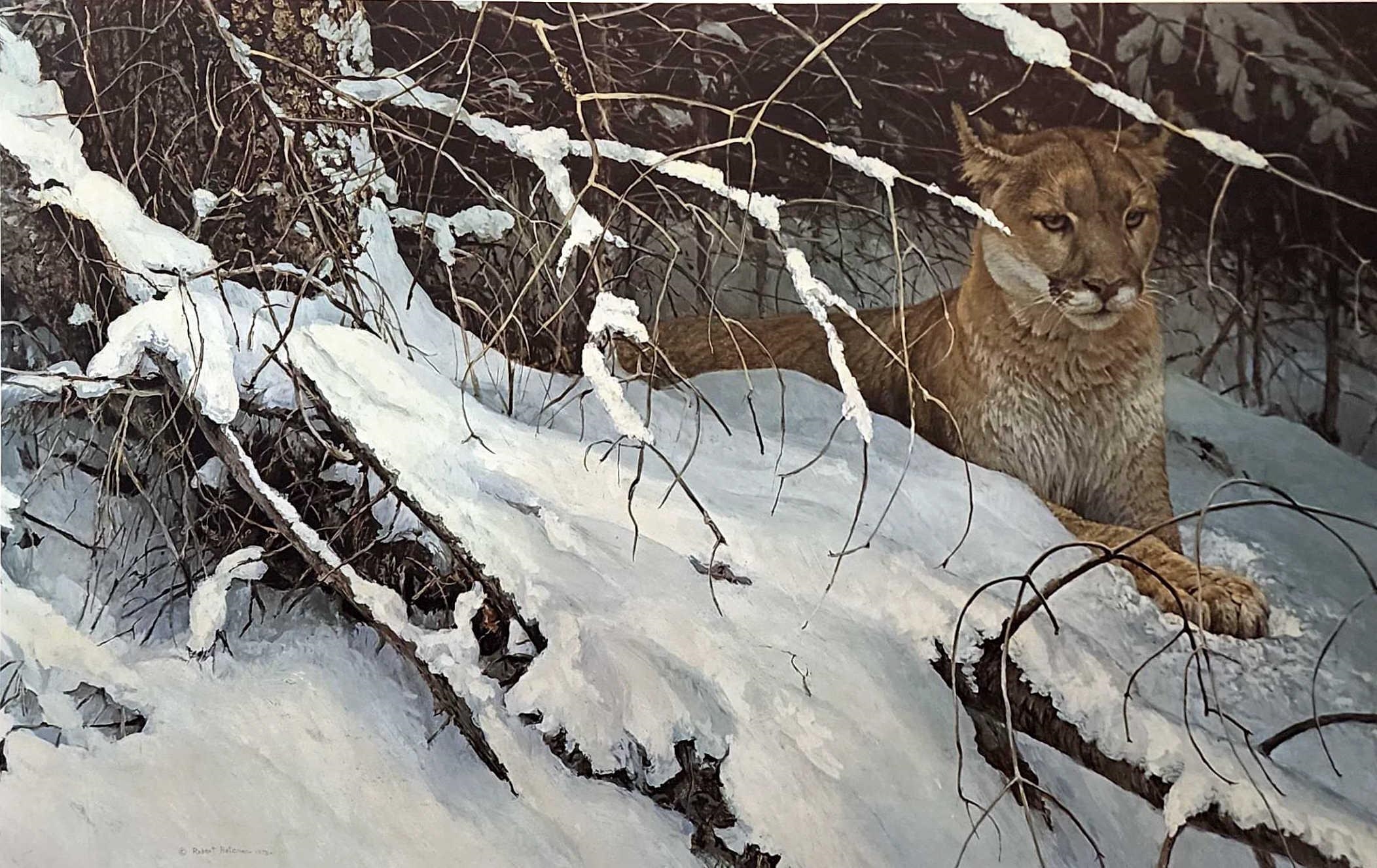 Robert Bateman | Robert Bateman Signed Limited Edition Lithograph ...